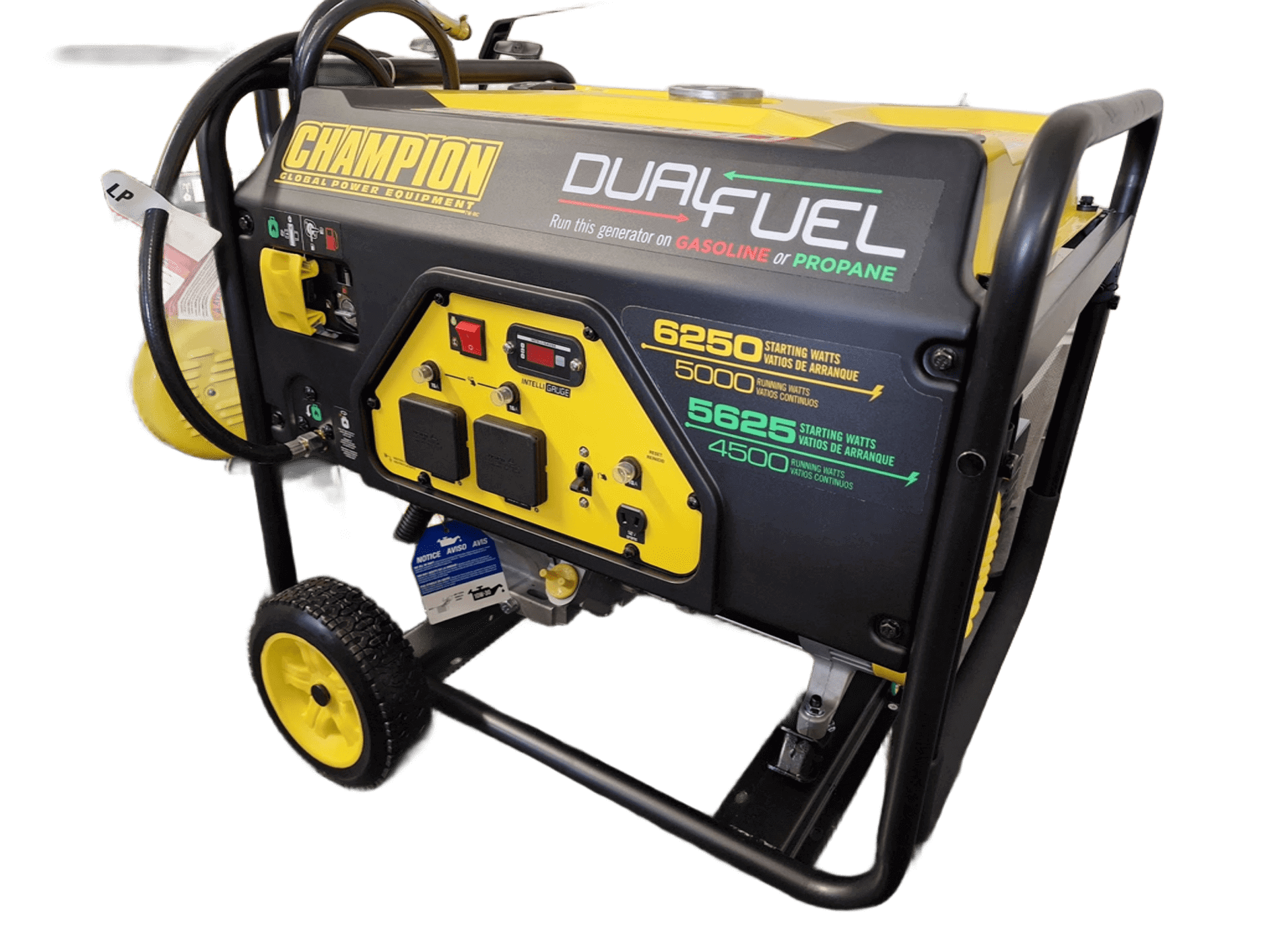 Tienda | Champion Argentina